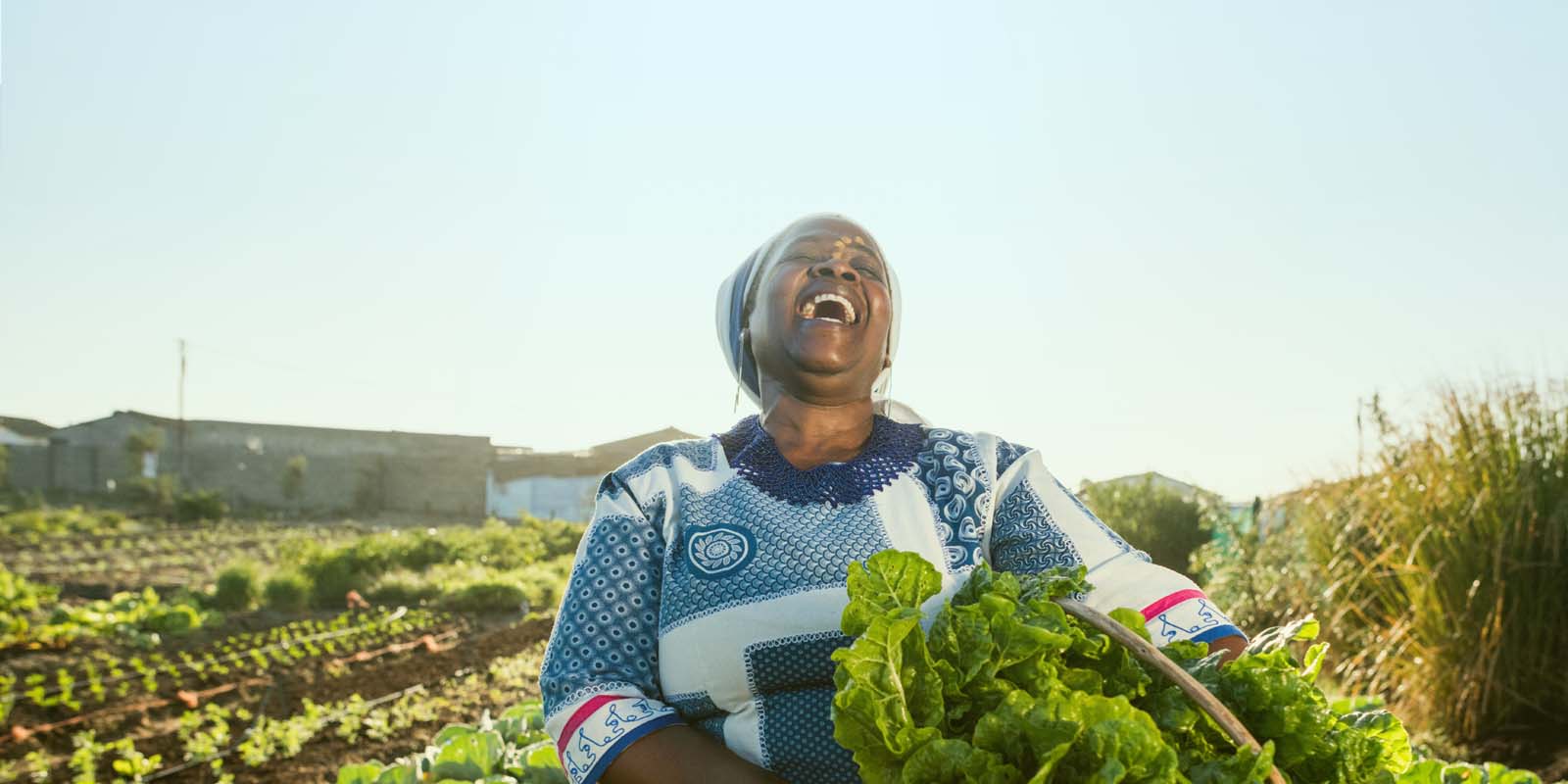 SunCulture - Experience the Power of the Sun